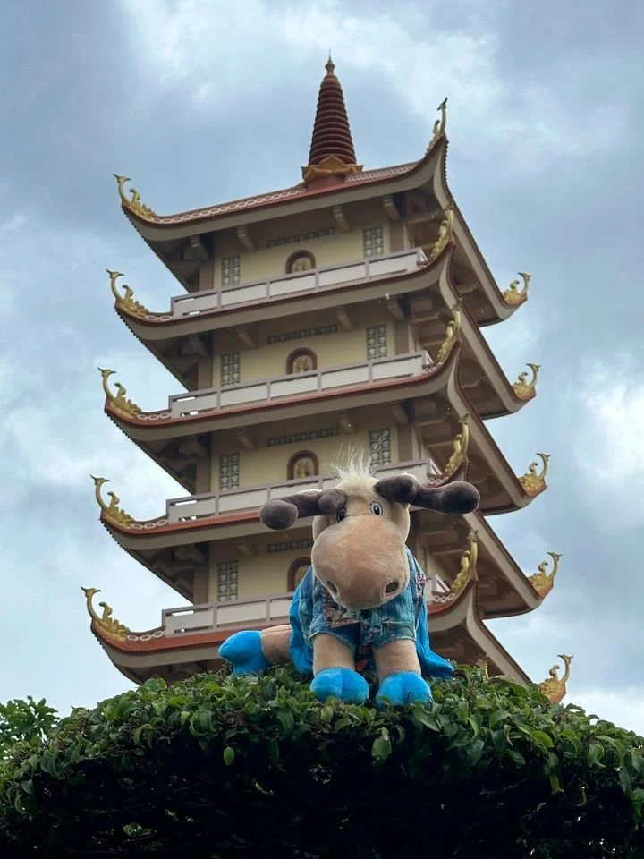 Gallery 3 — Marvelous Moosey Adventures
