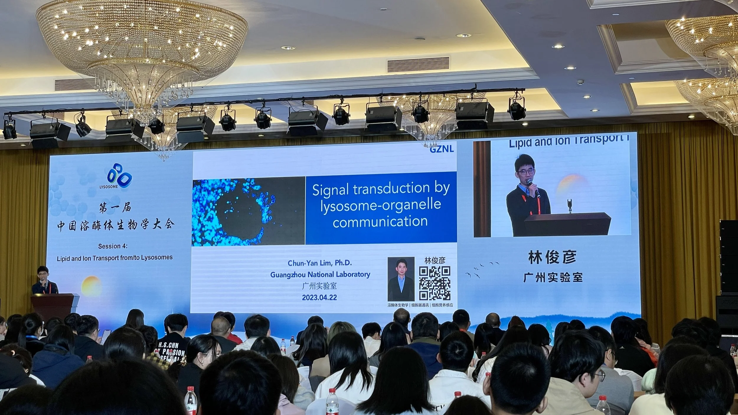 News — The Lim Laboratory