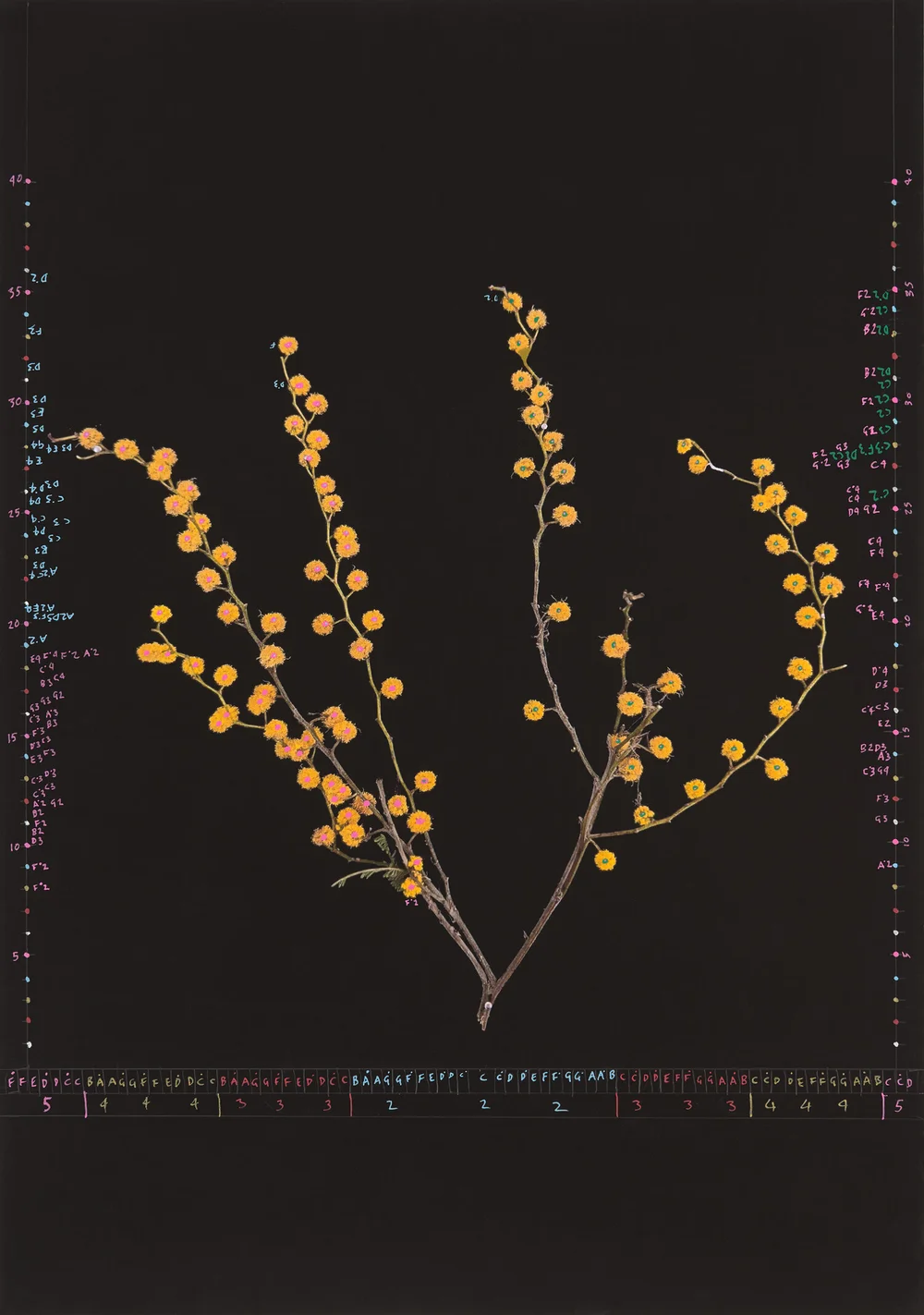 Music Scores — Dylan Martorell