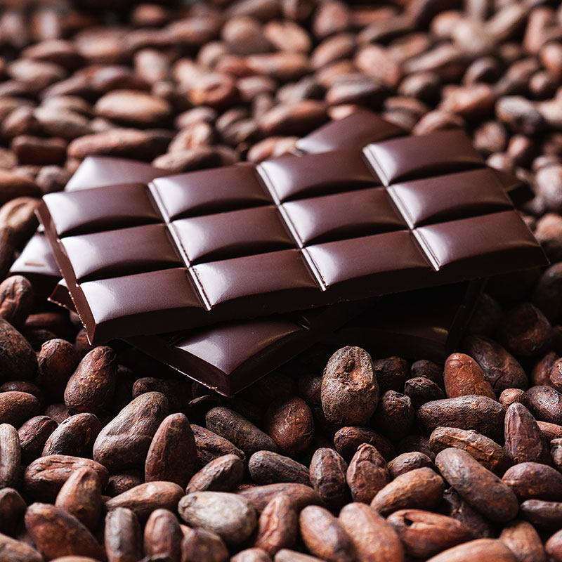 THE HISTORY OF CHOCOLATE — STS