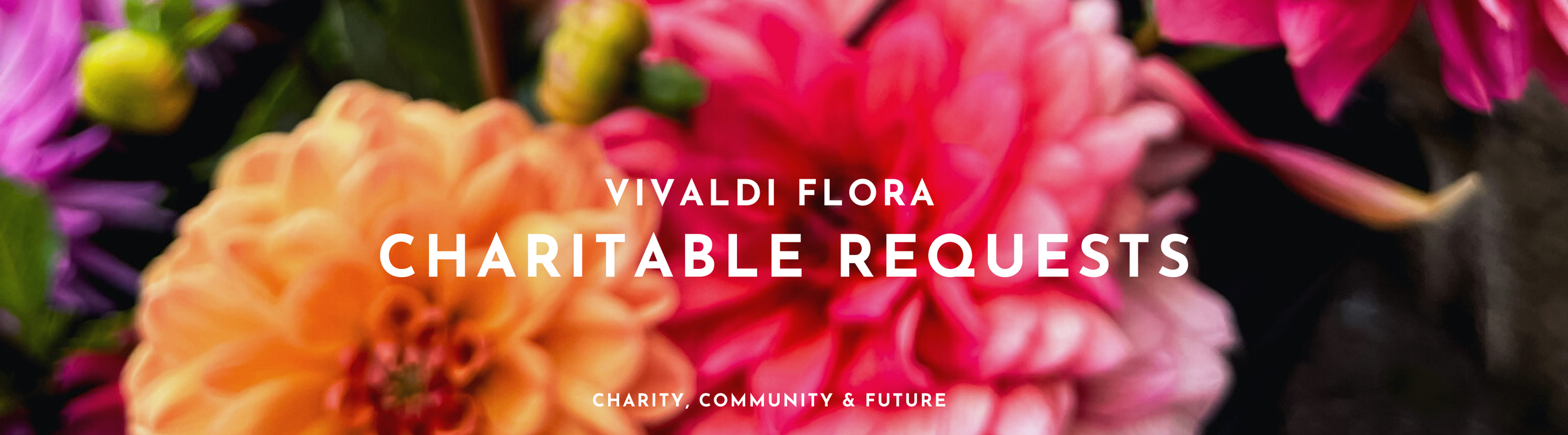 Charitable Requests — Vivaldi Flora
