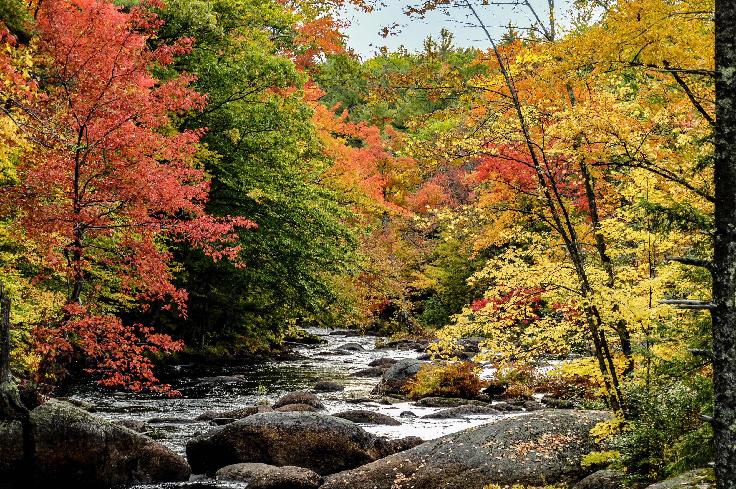 The Inspiration of New England — Everything English With John