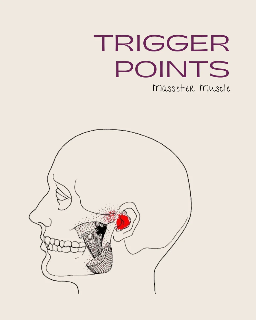 5 Ways To Get Relief From Ear Ringing — Wellness Blog — Sundala Wellness