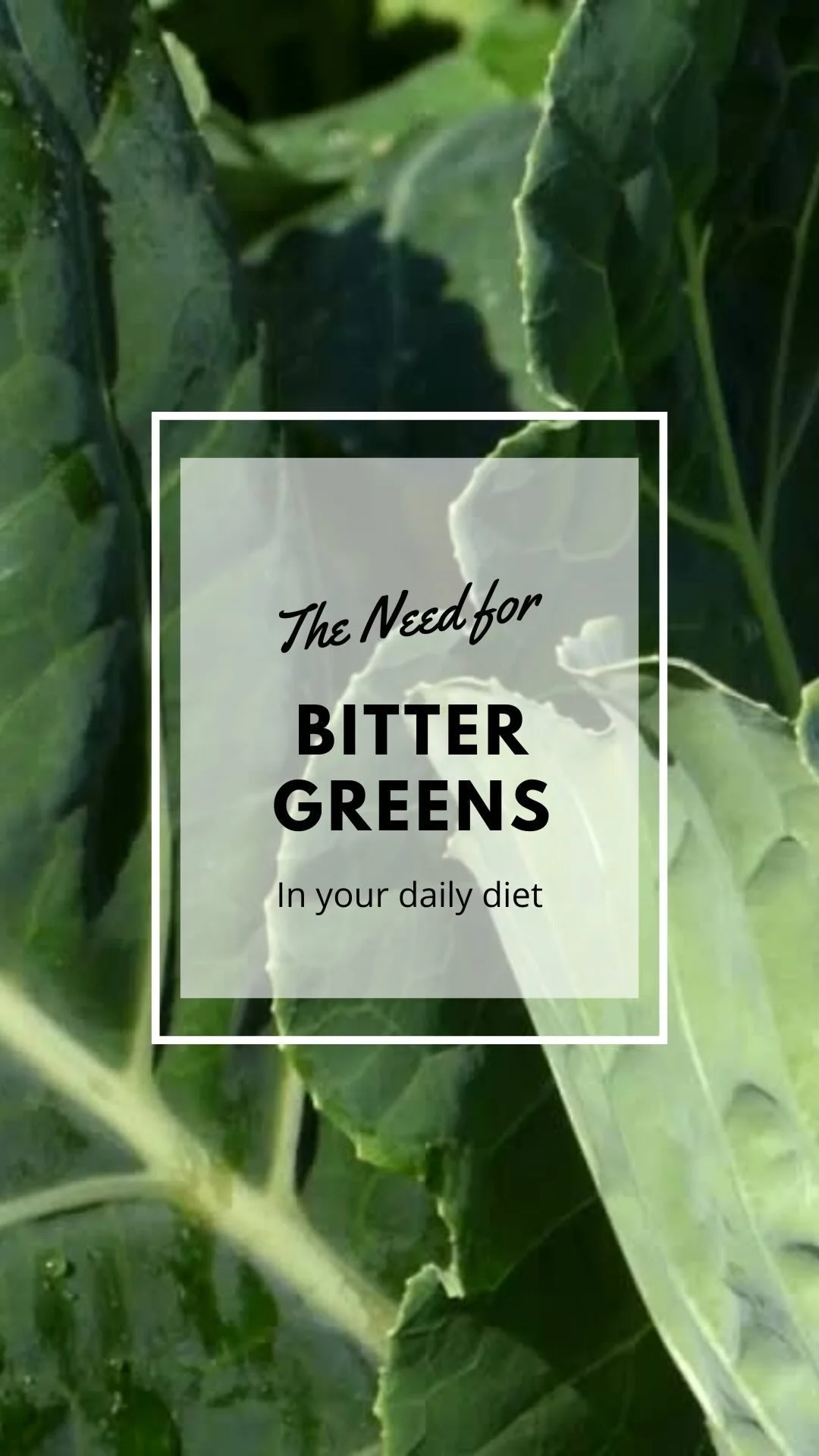 Comparing Dry Needling and Acupuncture: Which is Better for Back Pain? — Wellness Blog — Sundala ...