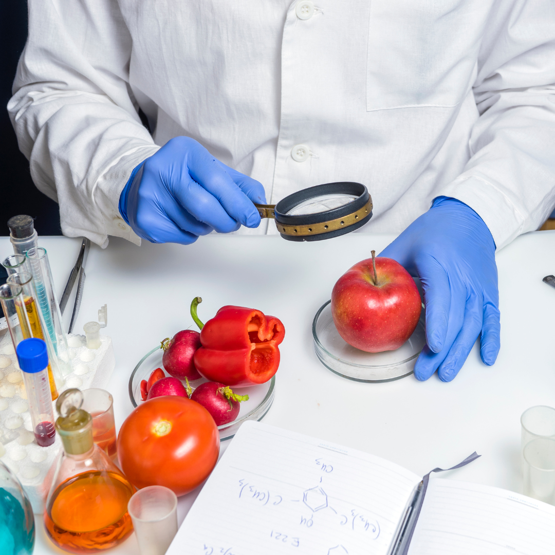 MRT Food Sensitivity Testing – Sundala Wellness