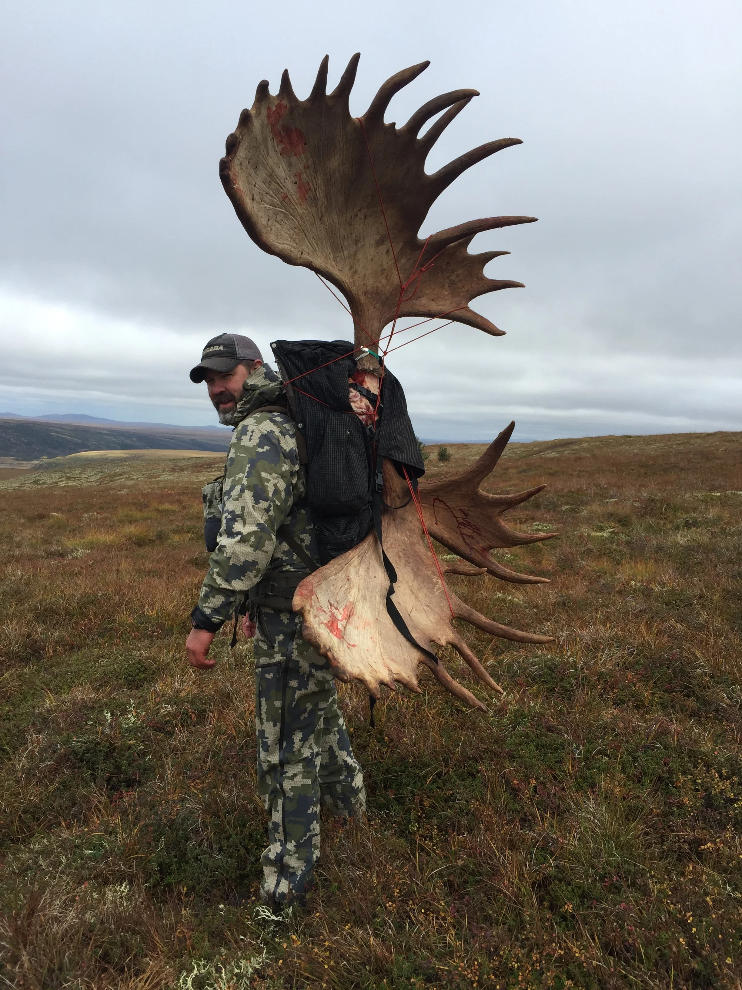 Information for Hunters — Animal Artistry