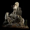 Gallery | North America | Wolf — Animal Artistry