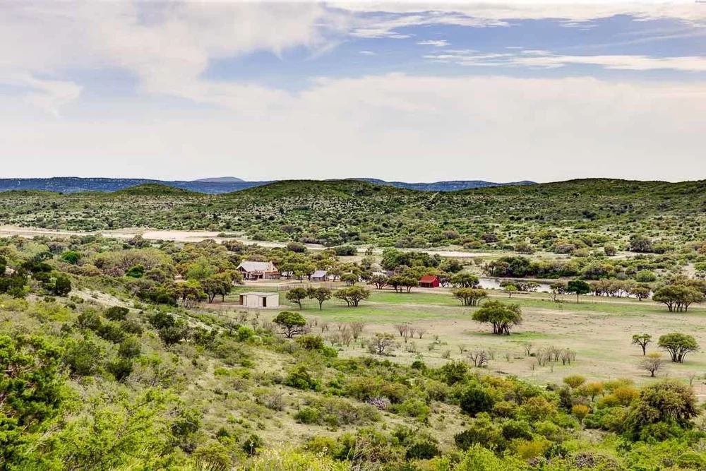 A Hunting Ranch for the Whole Family — Animal Artistry