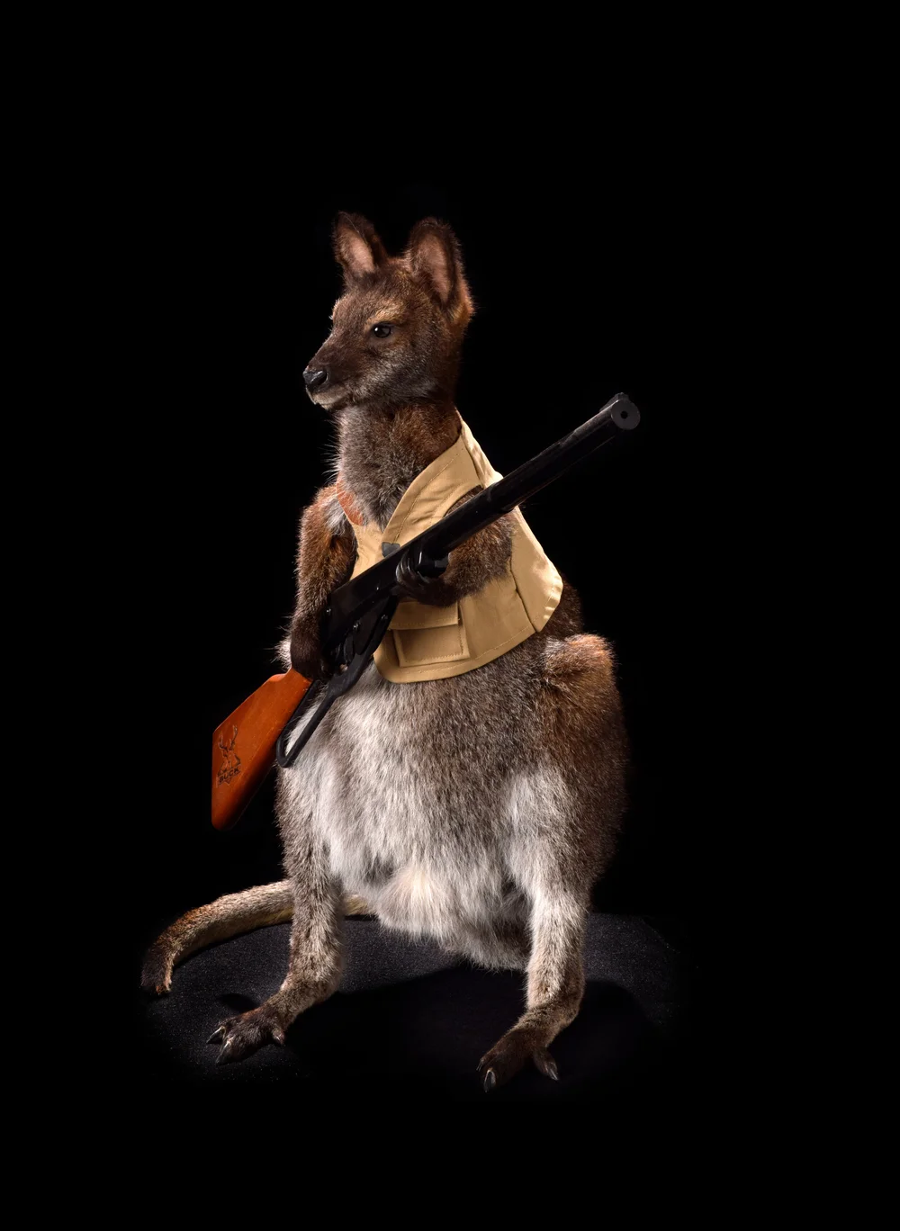 Gallery | Asia-Exotics | Wallaby — Animal Artistry