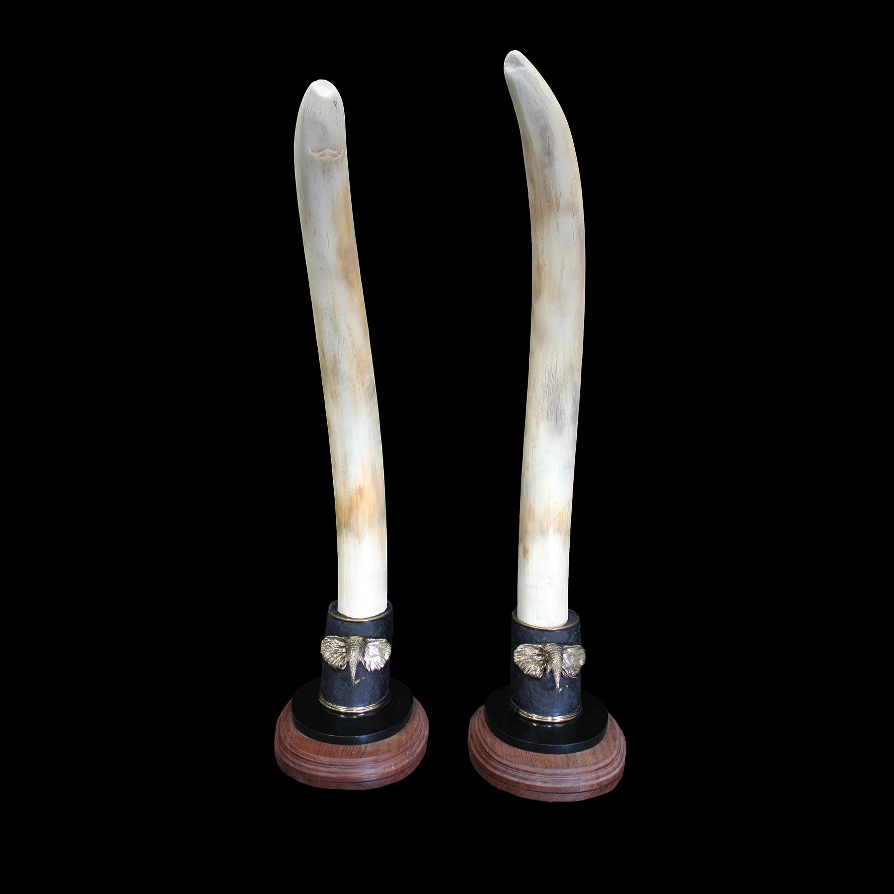 Custom Zebra Euro Mount — Animal Artistry