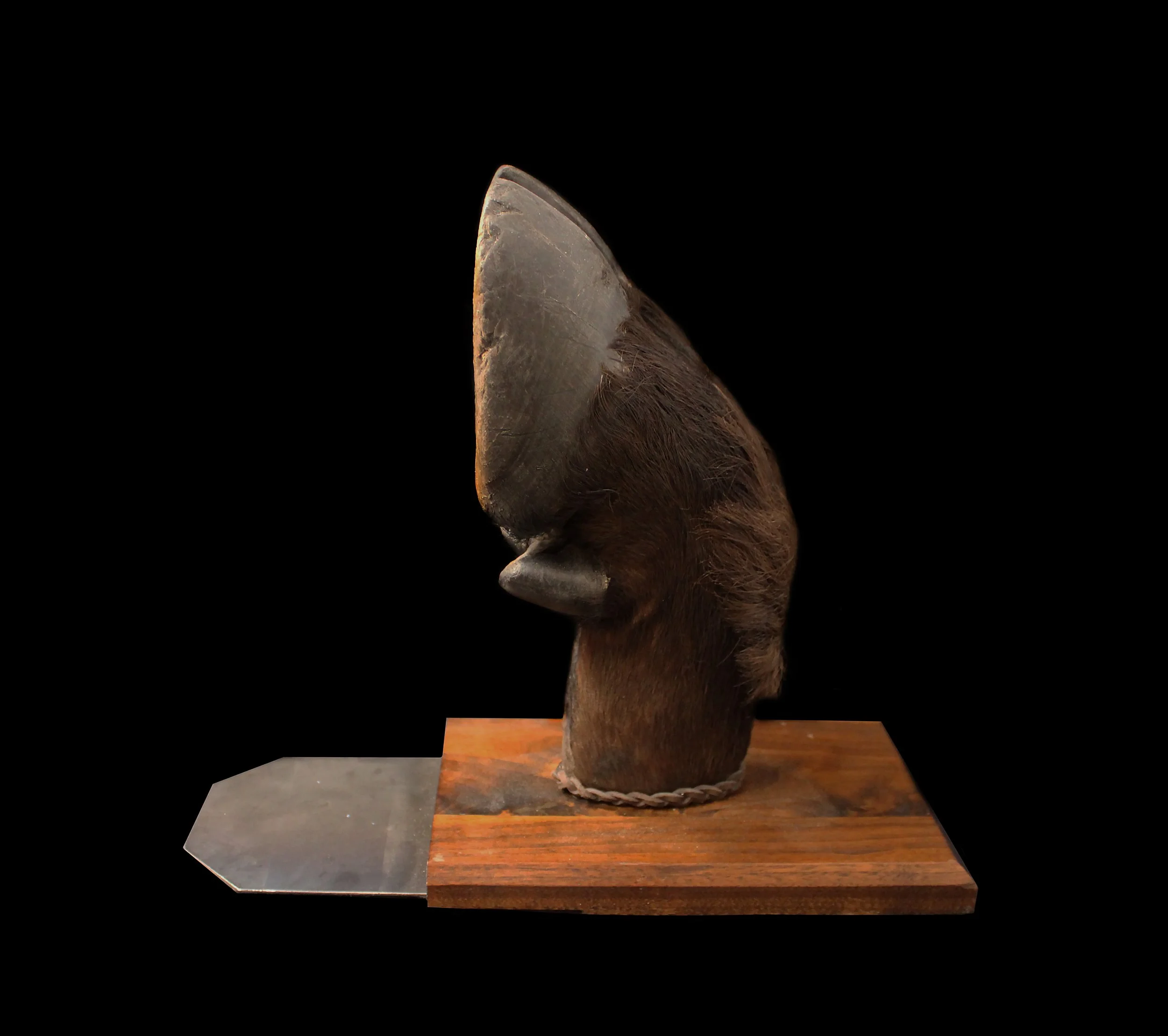 Euro Mounts and Taxidermy — Specialty Store — Animal Artistry