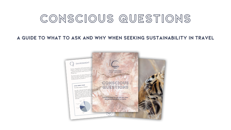 Conscious Questions: A Guide To What To Ask And Why When Seeking ...