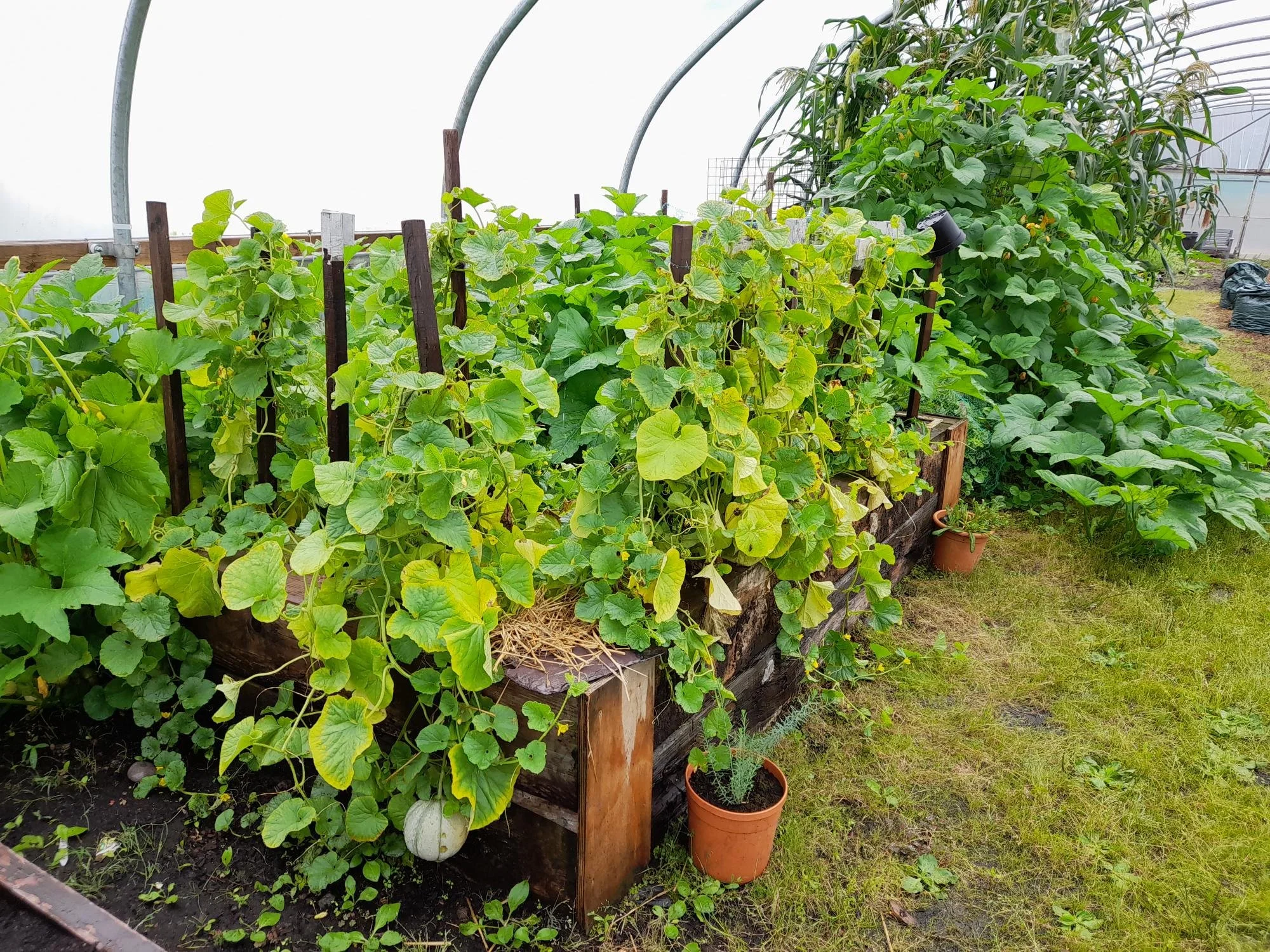 Our Locations — Aberdeen Foyer