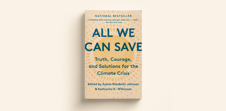 The All We Can Save Project