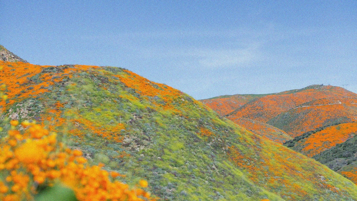 The All We Can Save Project