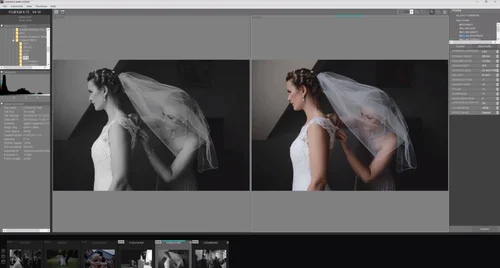 How to use Fujifilm X Raw Studio