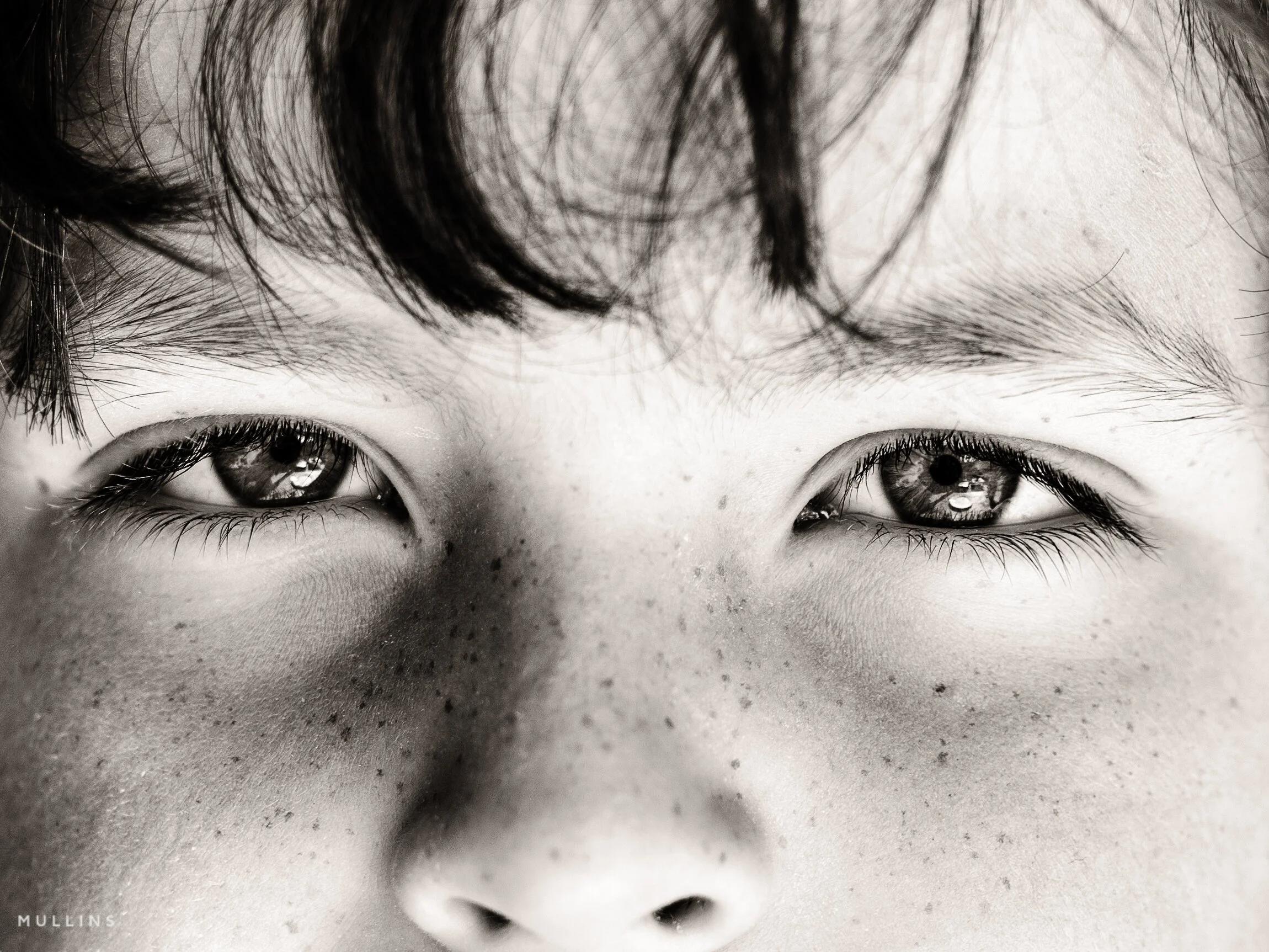 Why I Bought The Fuji GFX