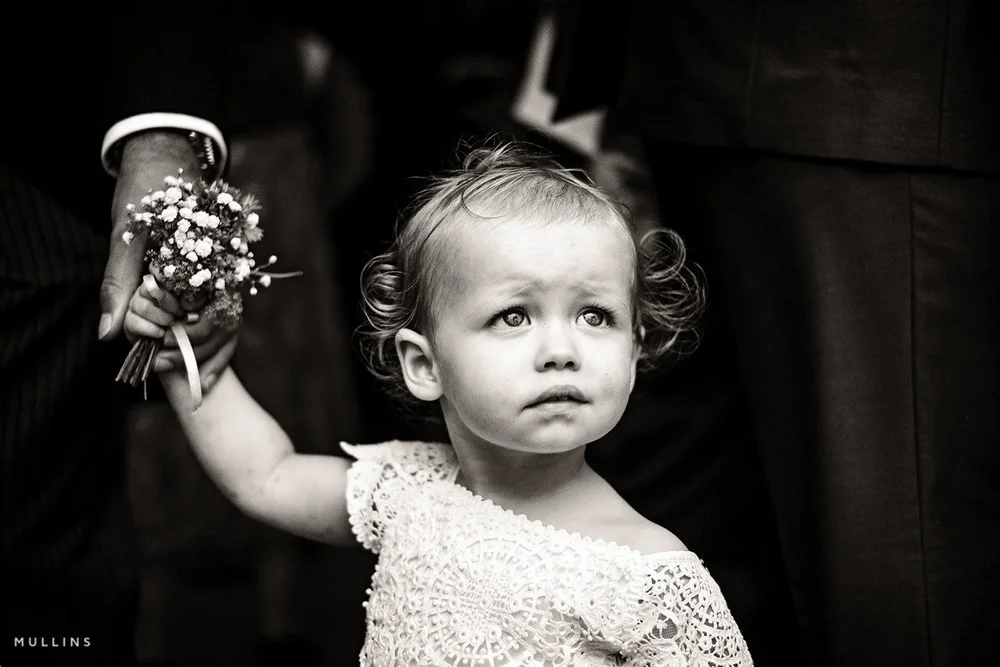 The First 1,540 Days as an official Fujifilm X-Photographer