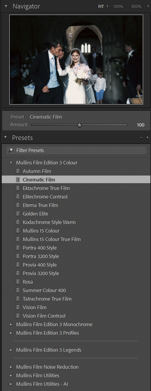 Mullins Film 3 - Advanced Lightroom Presets