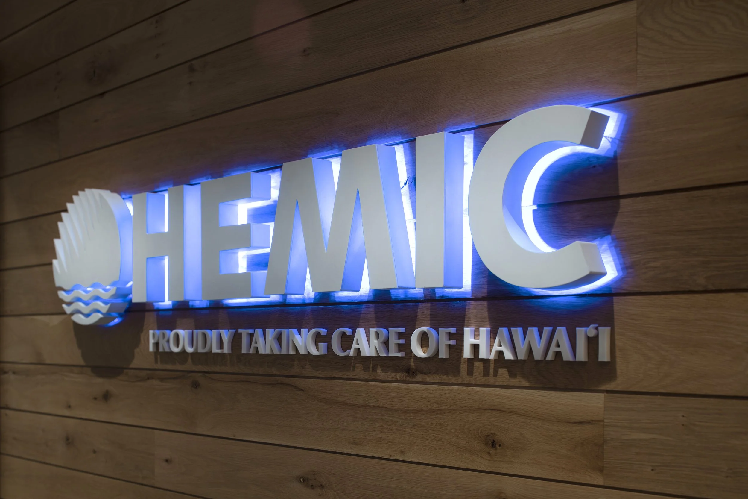 Hemic — Osaki Creative Group