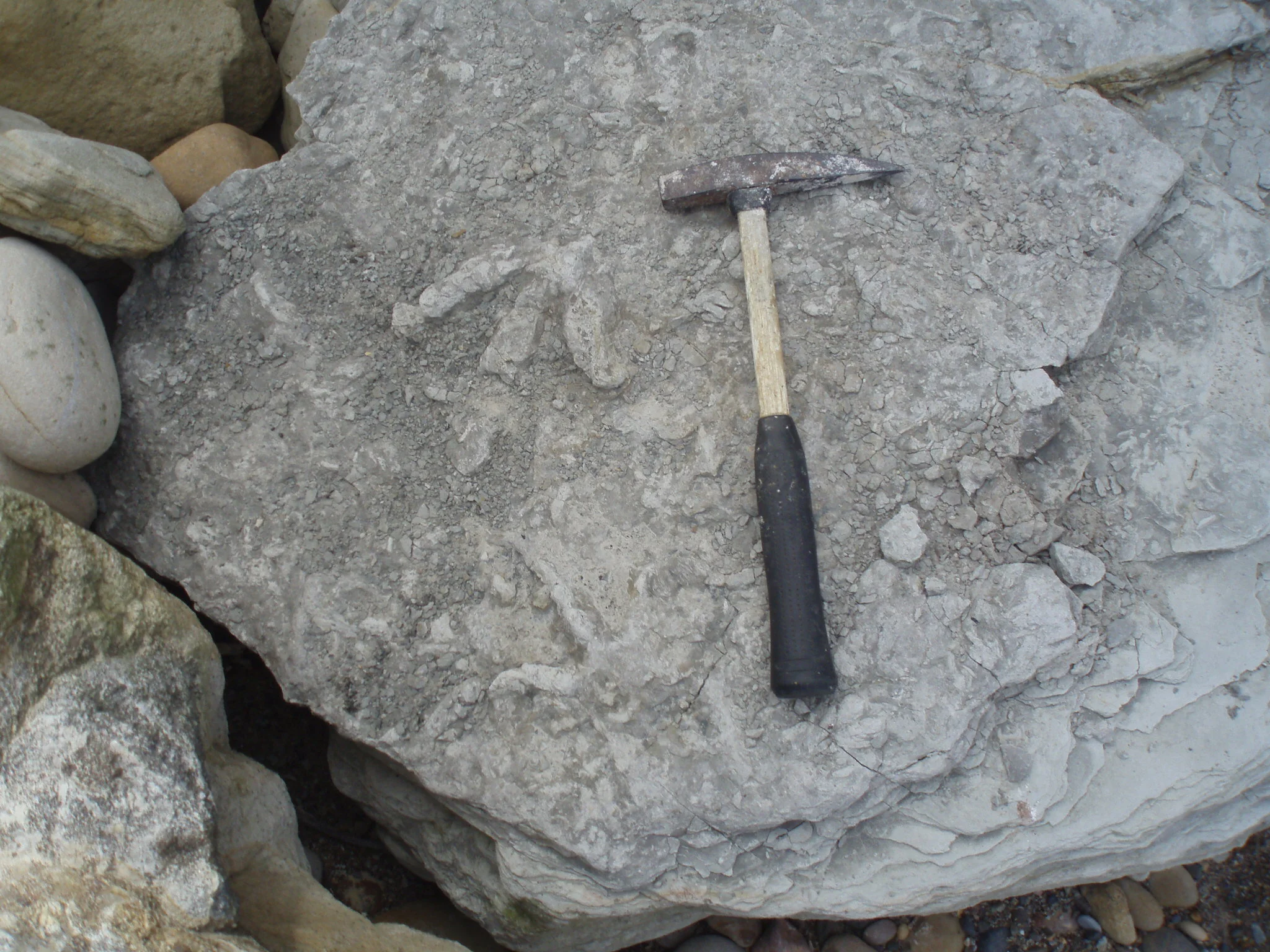 Yorkshire Geology Weekend 2021 — Yorkshire Geological Society