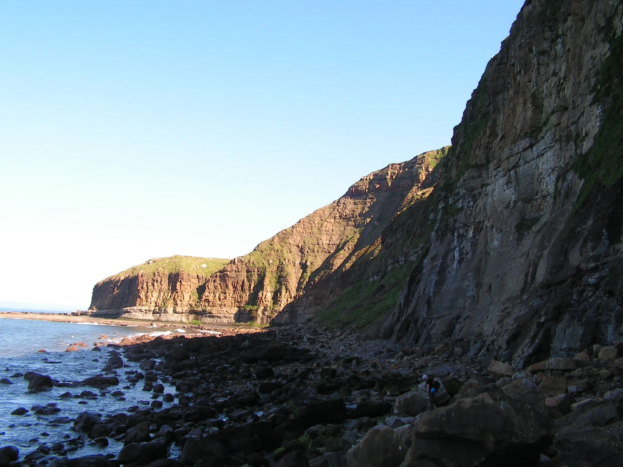 Leeds Geological Association: Extinction and recovery during the ...