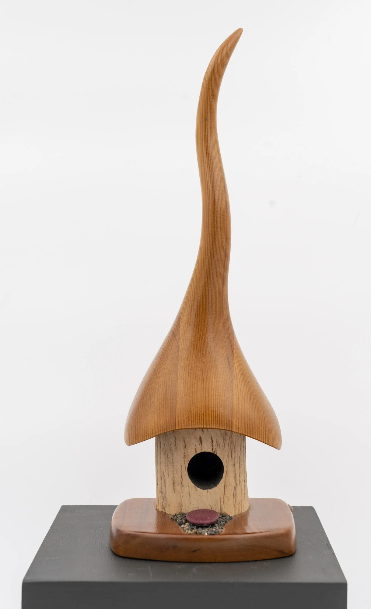 Artist Members — Art By the Sea Gallery & Studio