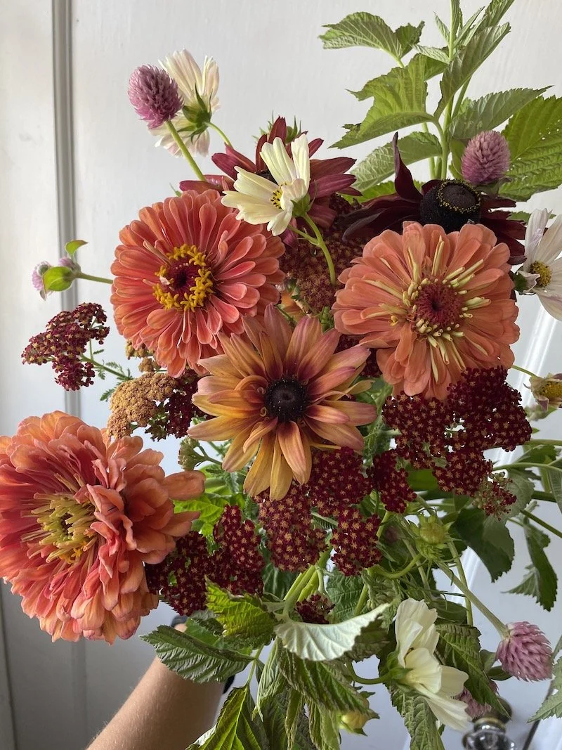 Local Flowers - Sacramento, Woodland, Davis — Dewey Farms Flowers