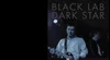 Black Lab