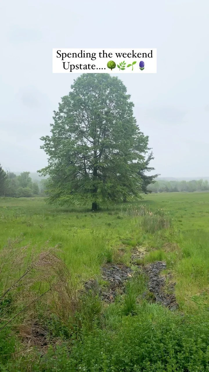 The Wee Folk Treasures