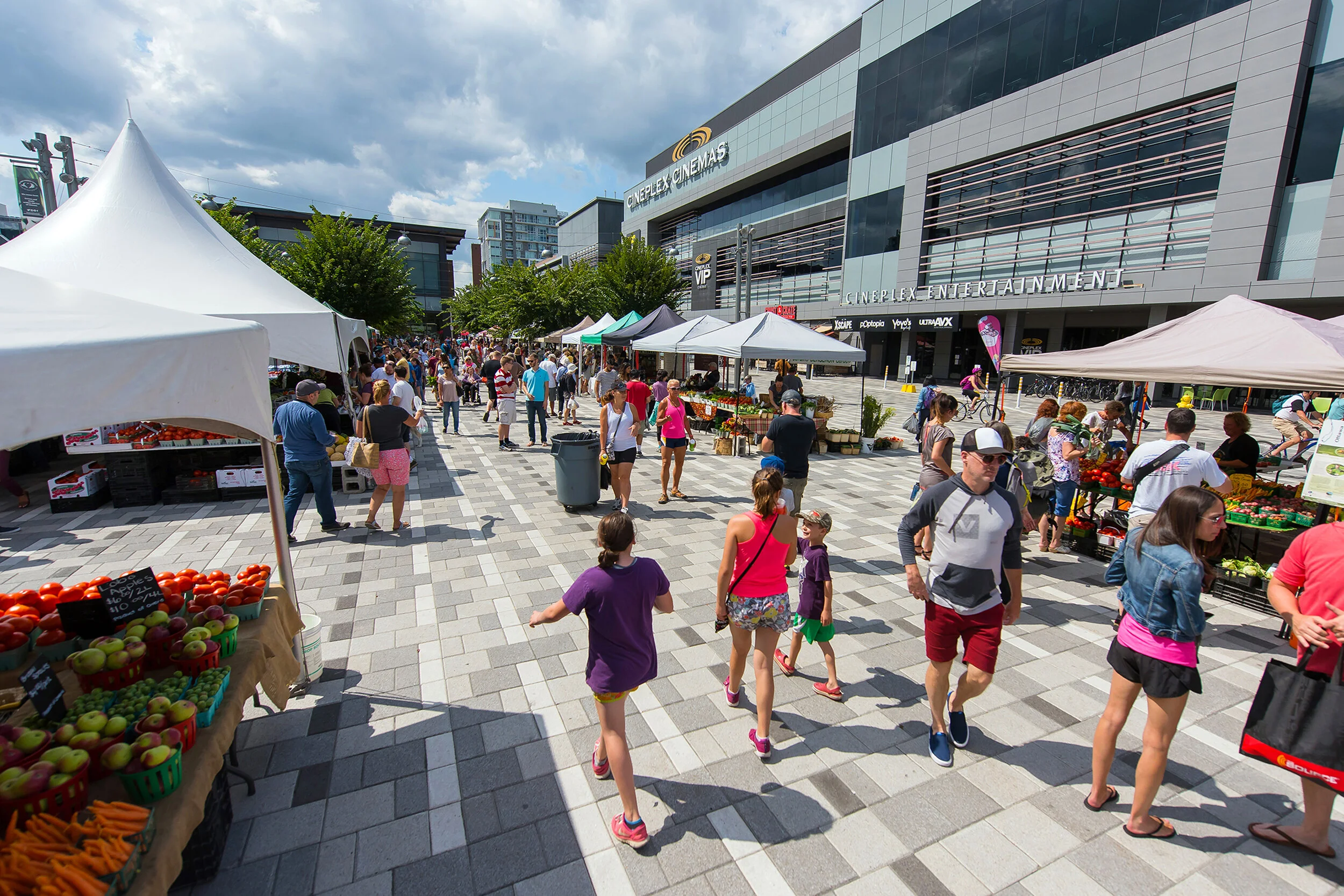 Lansdowne Park — Brett Ryan Studios