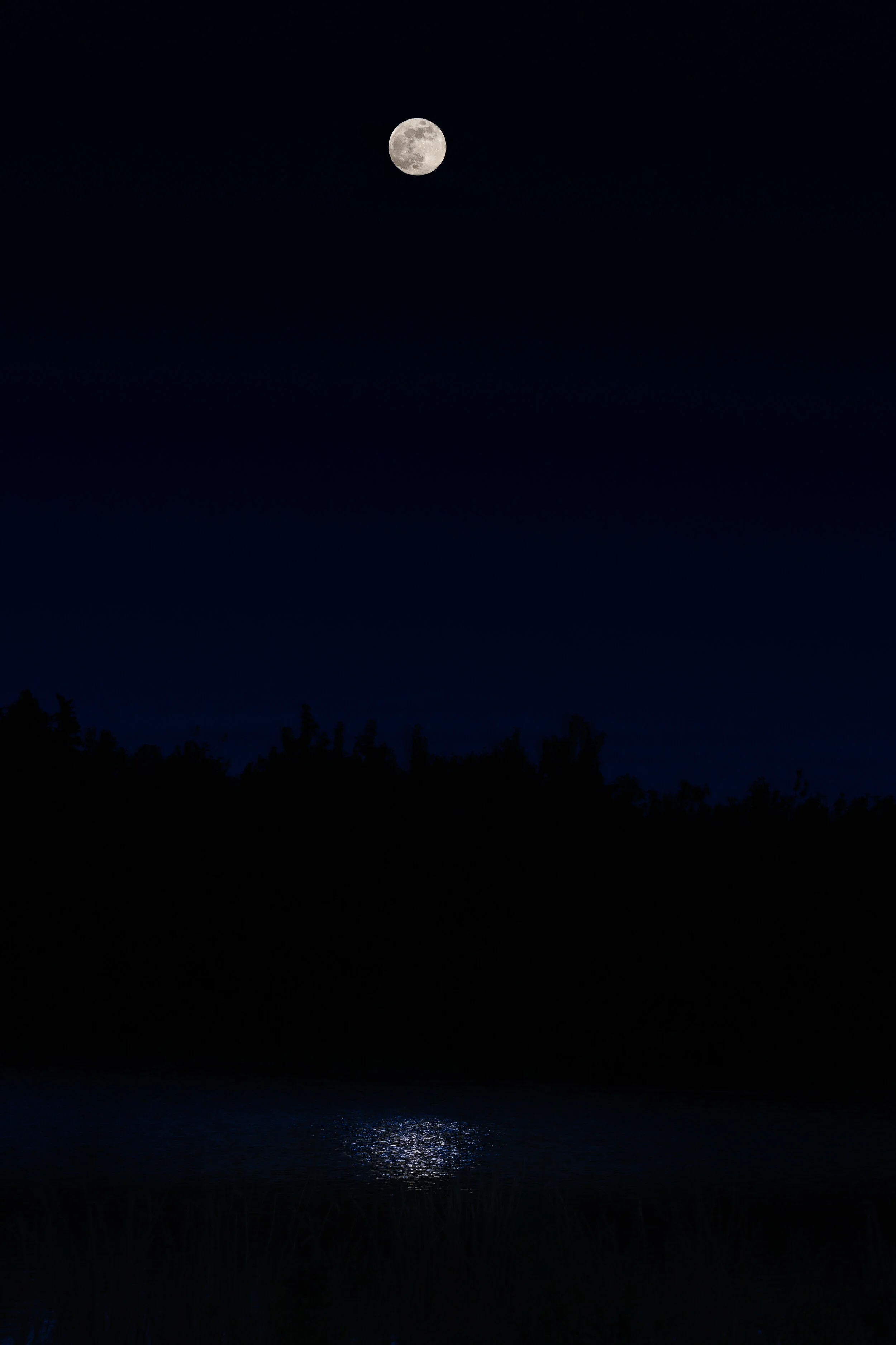 Brian Swingle Photography