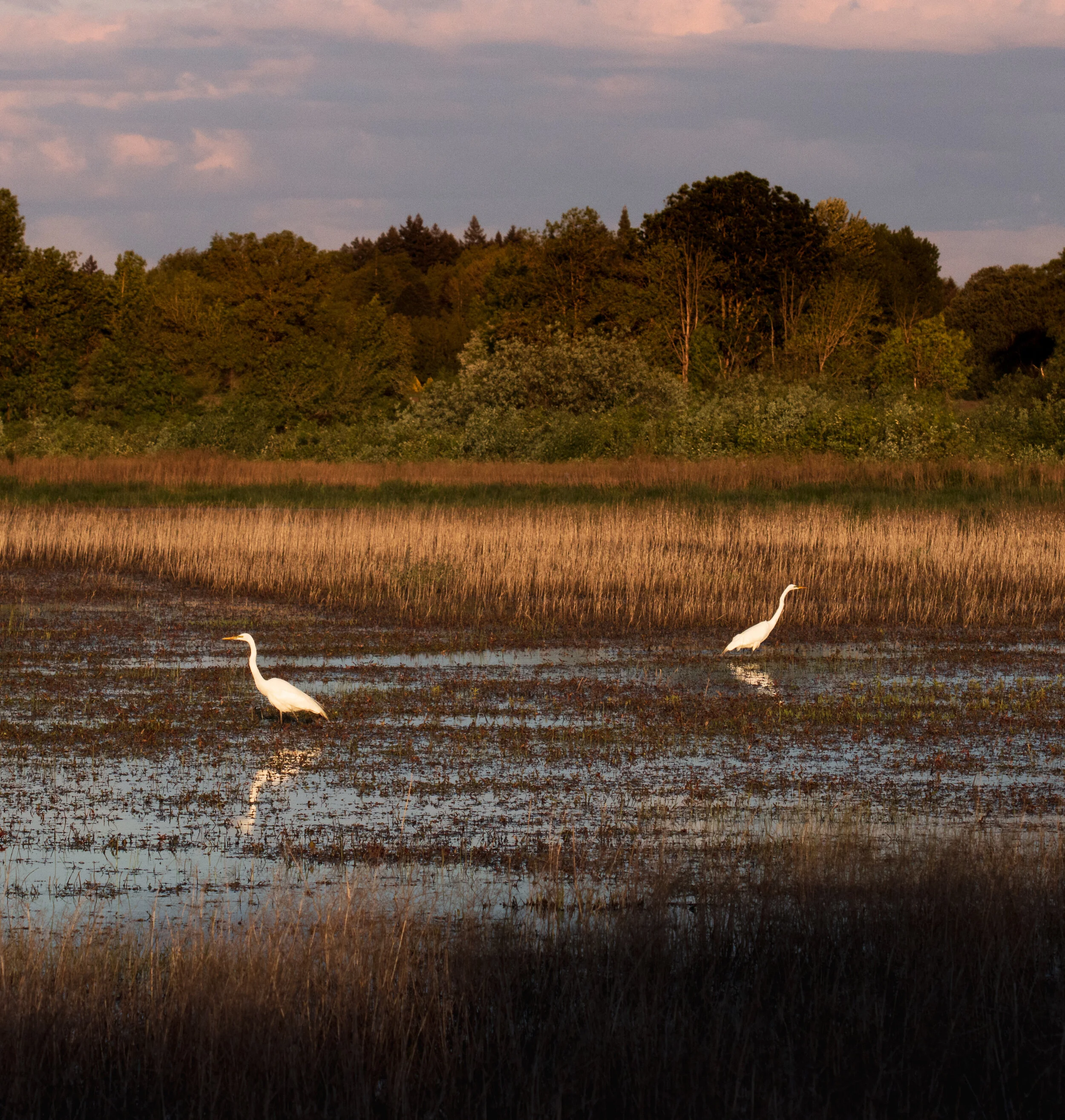 Brian Swingle Photography