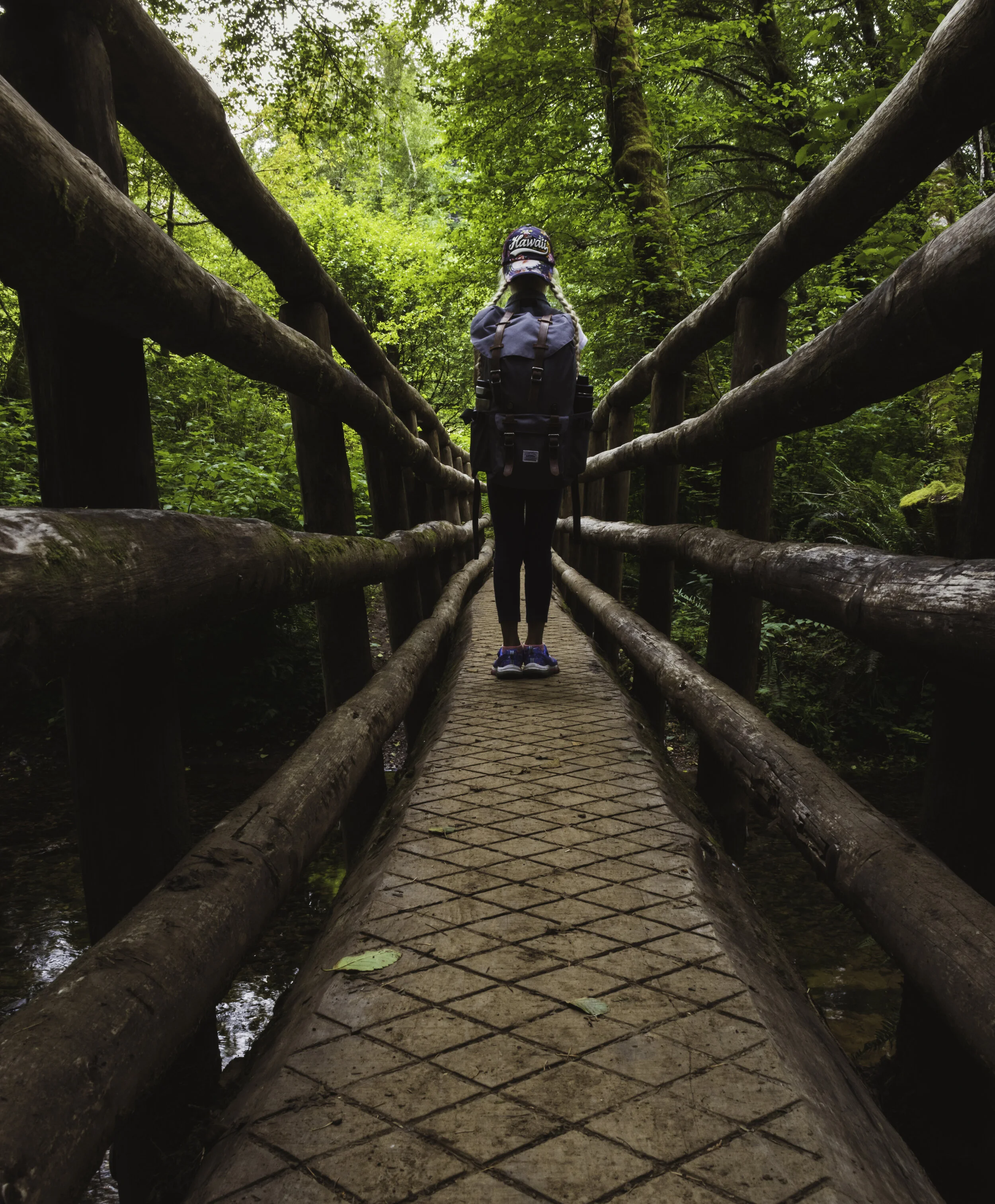 Brian Swingle Photography