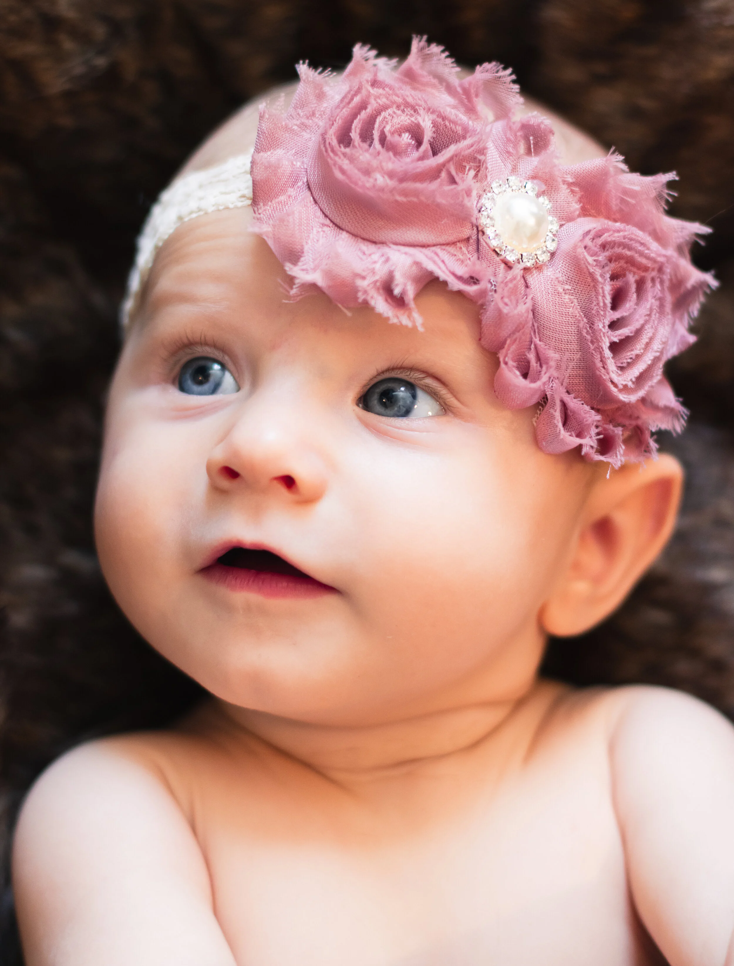 Brian Swingle Photography