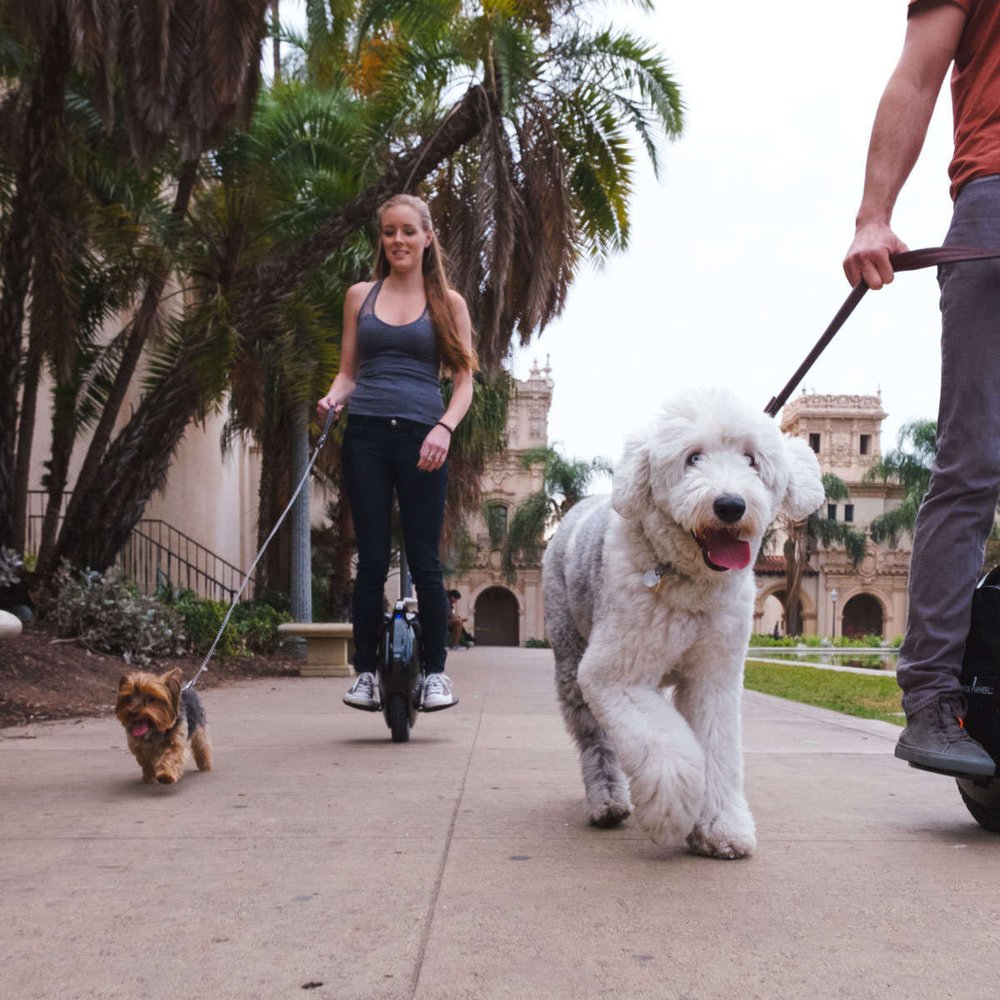 InMotion V5F Electric Unicycle - Official Sales & Support — INMOTION USA