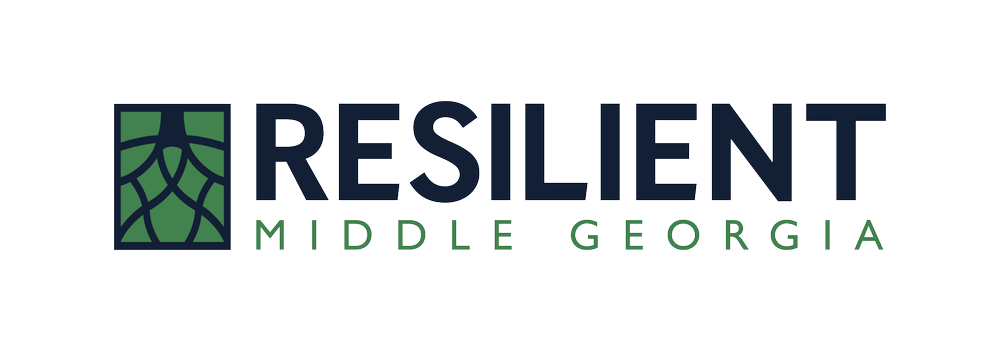 Resilient Middle Georgia