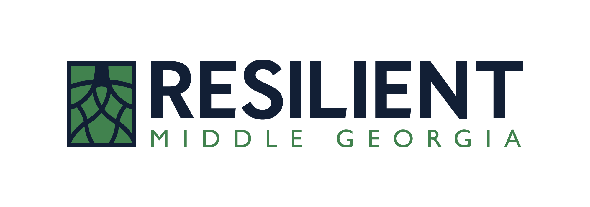 Resilient Middle Georgia