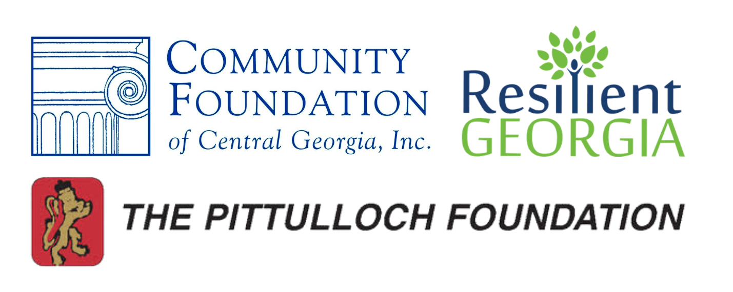 Resilient Middle Georgia