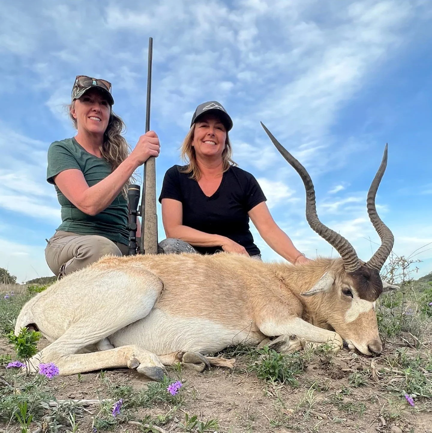 Addax — RecordBuck Ranch