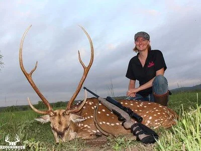 Axis Deer — RecordBuck Ranch