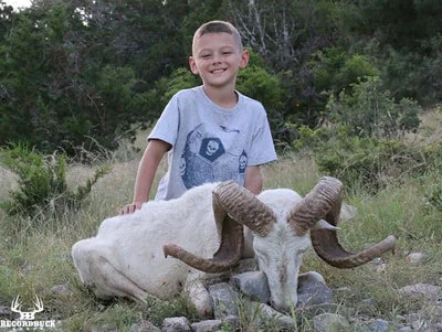 Texas Dall — RecordBuck Ranch