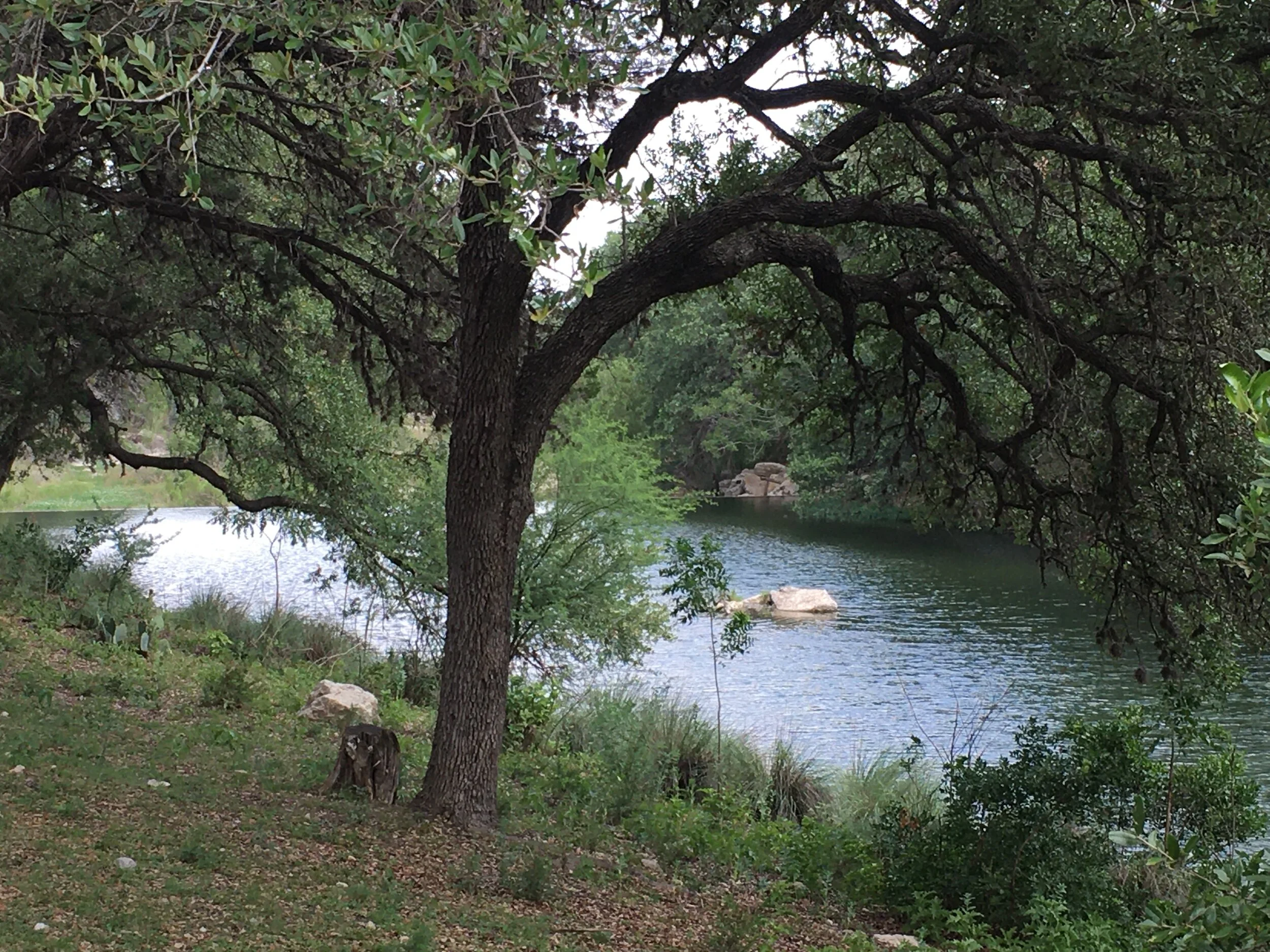 The Ranch — RecordBuck Ranch