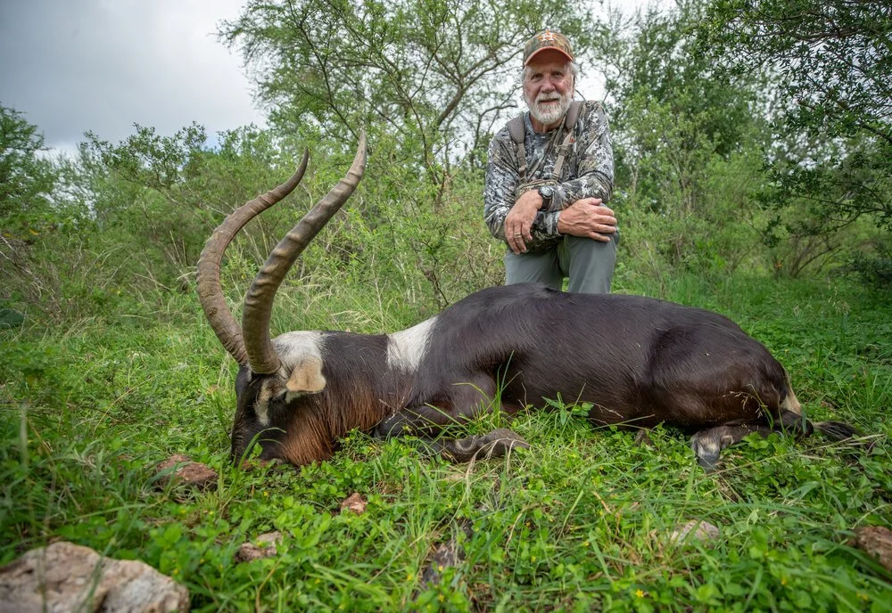 Nile Lechwe — RecordBuck Ranch