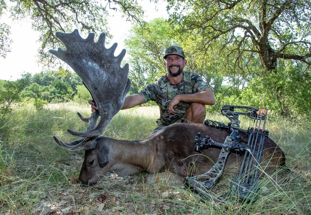 Fallow Deer — RecordBuck Ranch