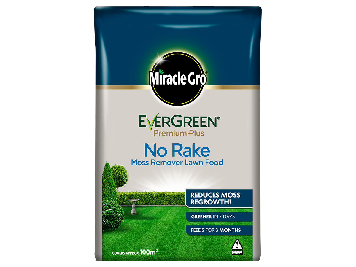 Lawn & Turf Dressing 25L — Knights Garden Centre