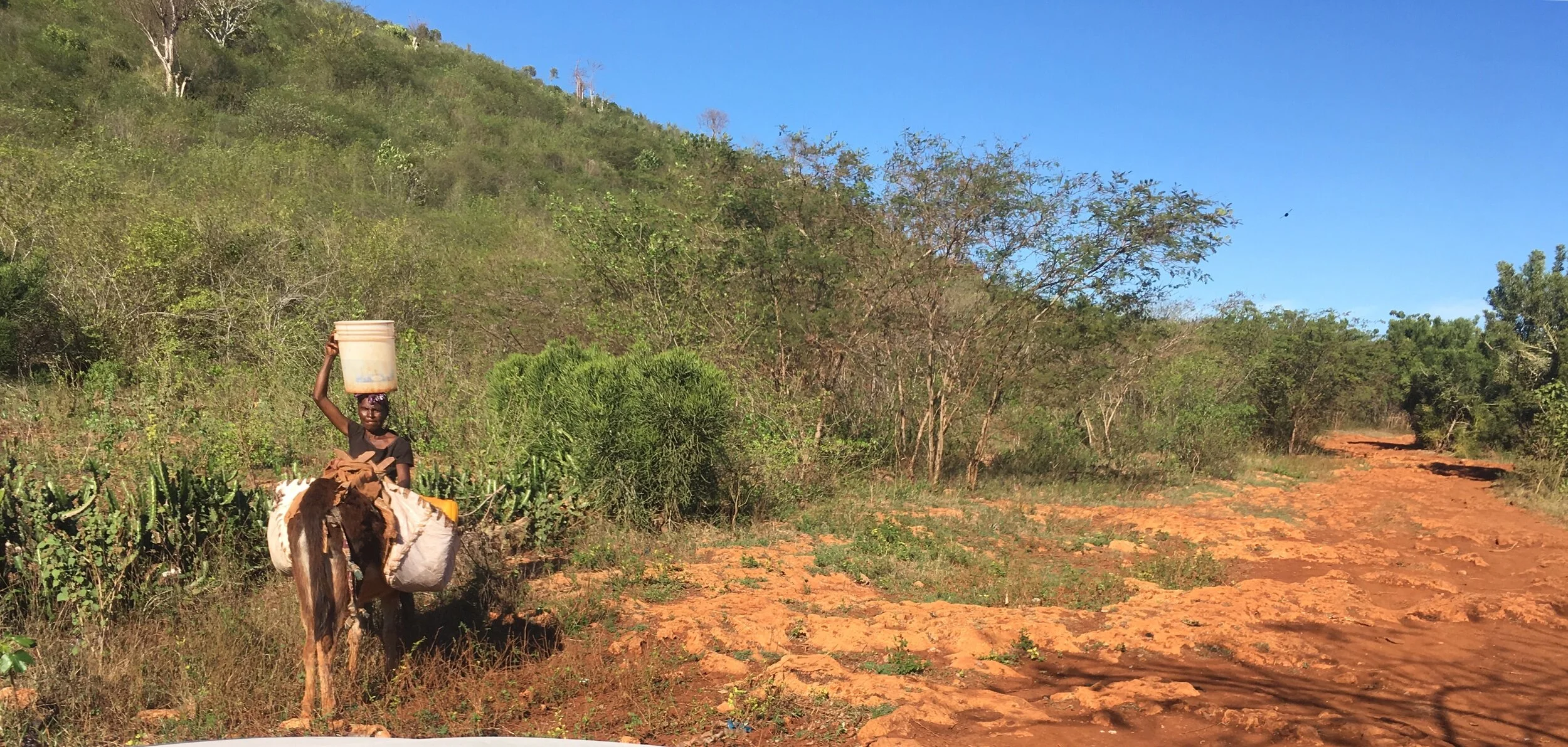 Get Involved — Agape Global Health for Haiti