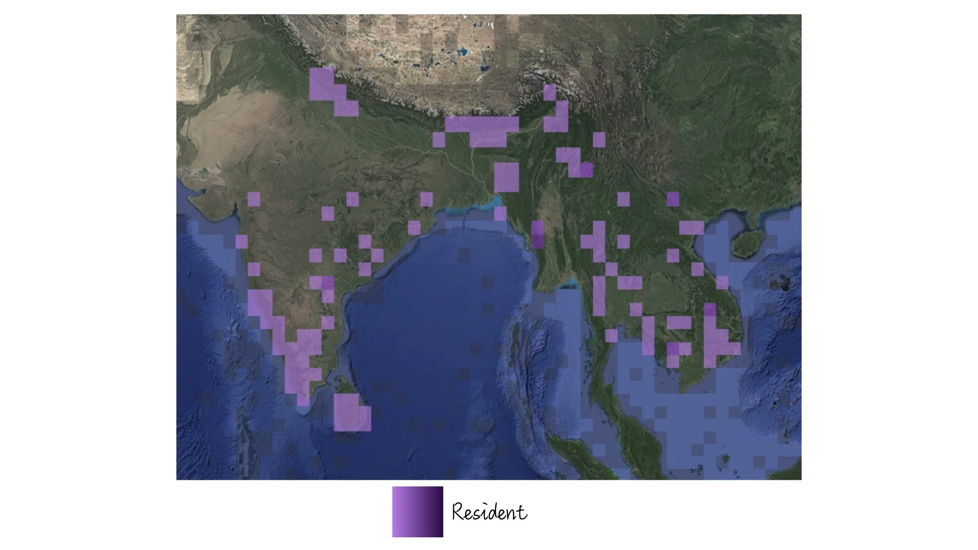 Spot-bellied Eagle Owl — WildArt.Works | Wildlife Photographer