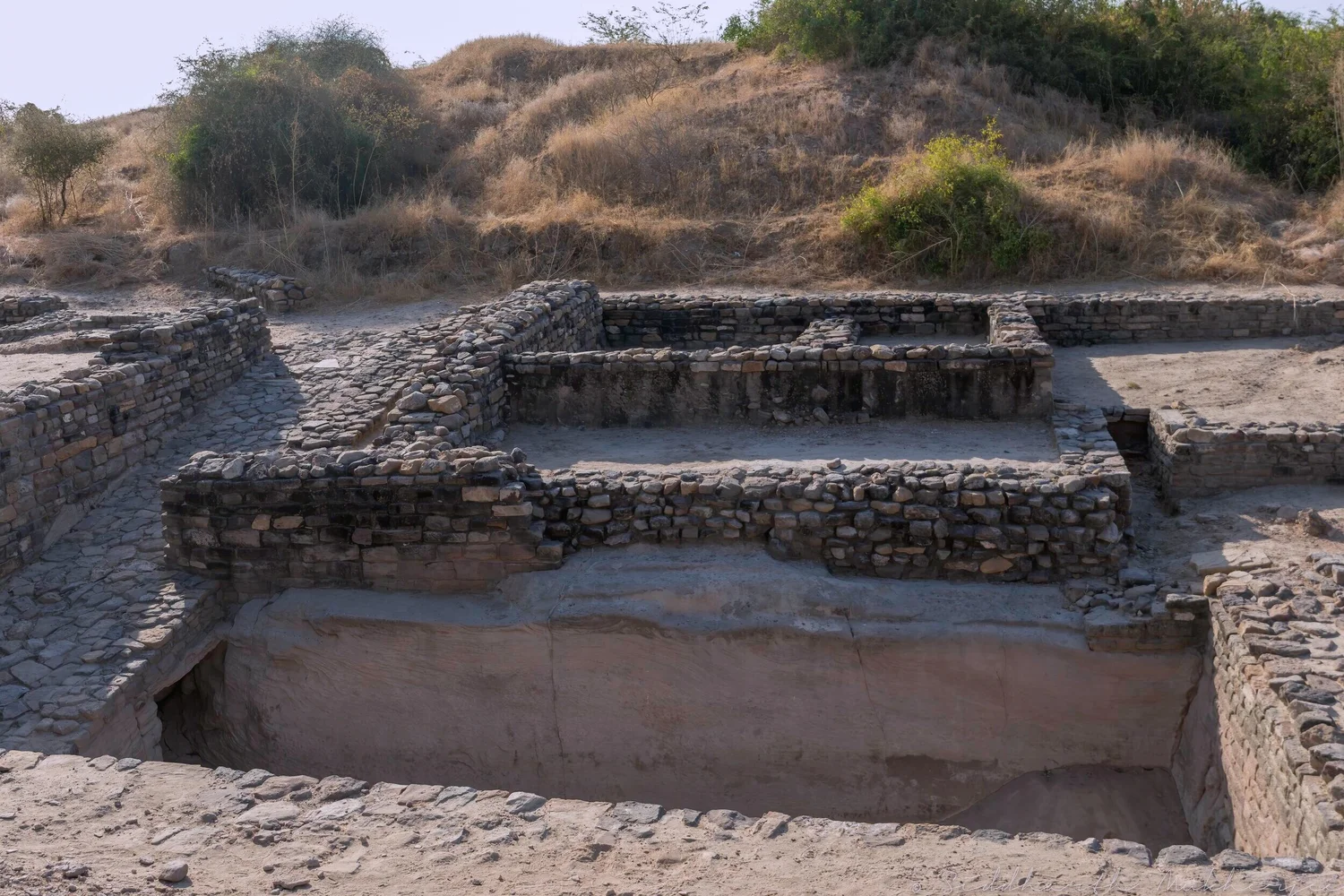 Dholavira — WildArt.Works