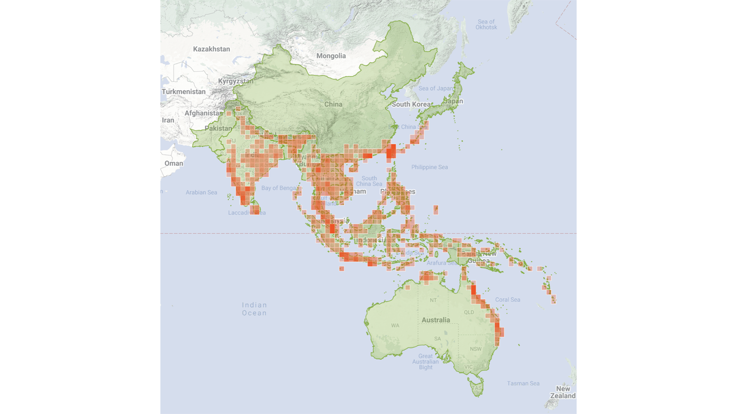 Giant Golden Orb Weaver — WildArt.Works | Wildlife Photographer
